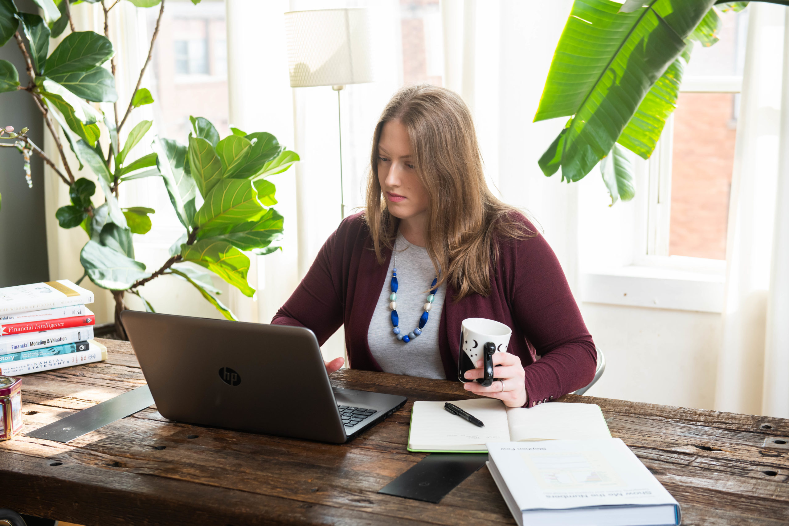 Monthly Support & Advisory - NewCastle Finance